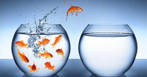 Six Steps to the Perfect World | The Creative Post